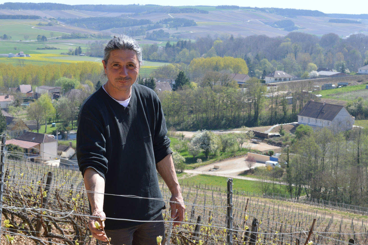 program – 샴페인서울